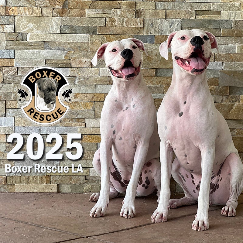 2025 BRLA Calendars -"select an option" for quantity pricing | Boxer ...